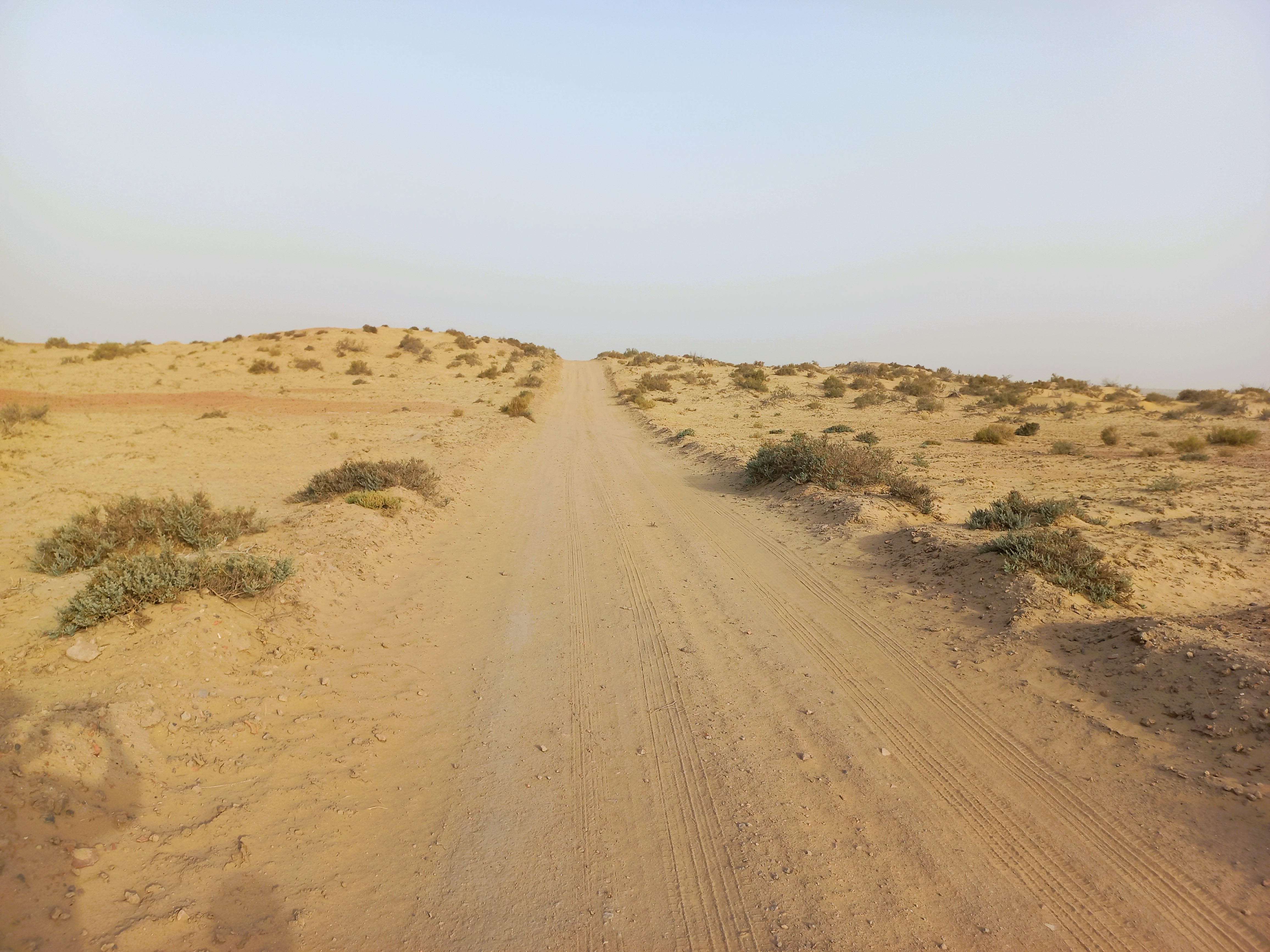 The road to Ganweriwala – Ali Bhutto