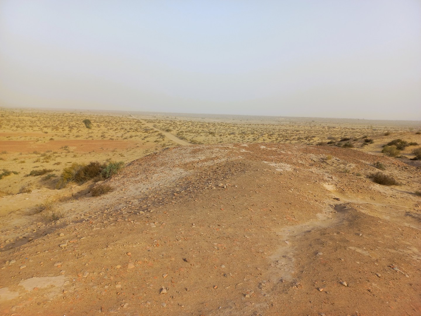 The road to Ganweriwala – Ali Bhutto
