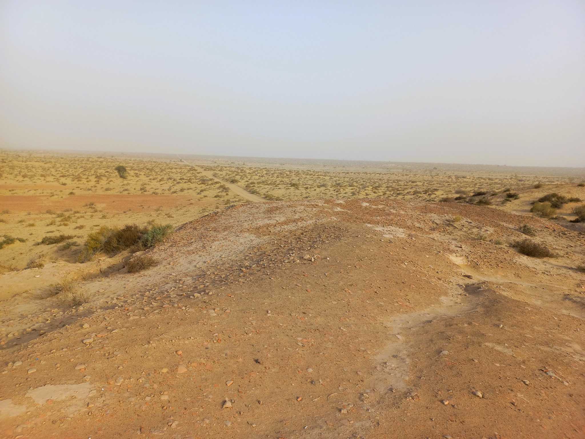 The road to Ganweriwala – Ali Bhutto